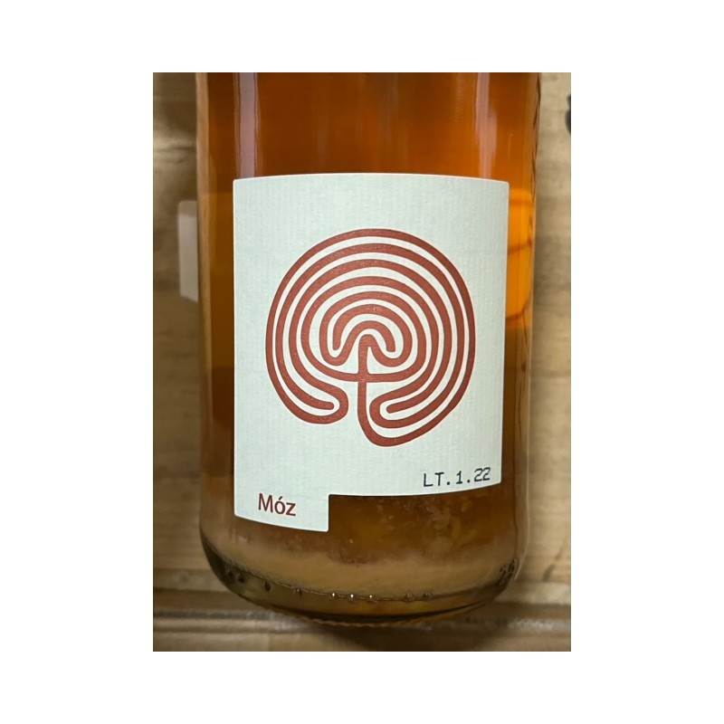 Ederlezi Costadila Vin pétillant blanc du Veneto Moz 2021